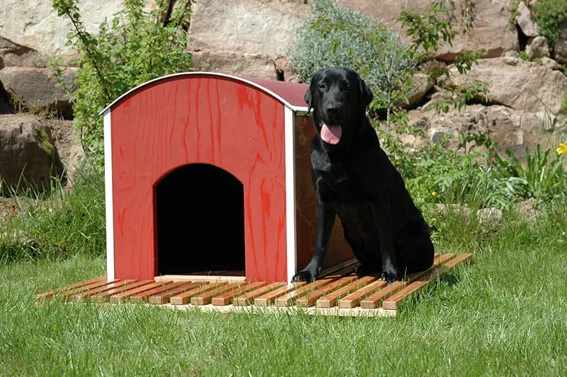 Bygga en hundkoja | Bygganvisning för hundkoja